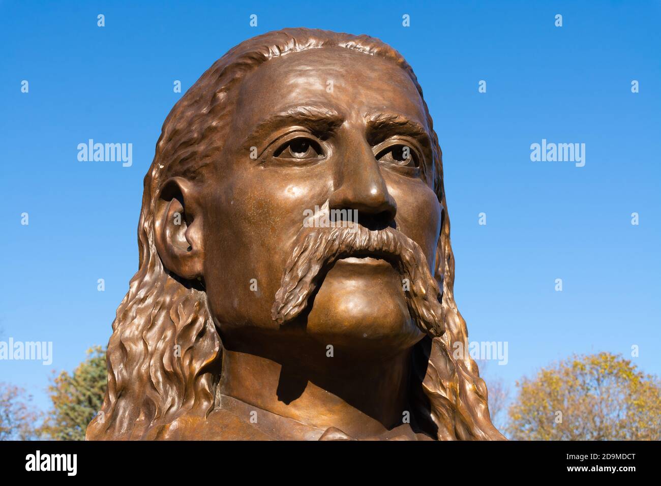 Troy Grove, Illinois / United States - November 4th, 2020: Bust of Wild ...