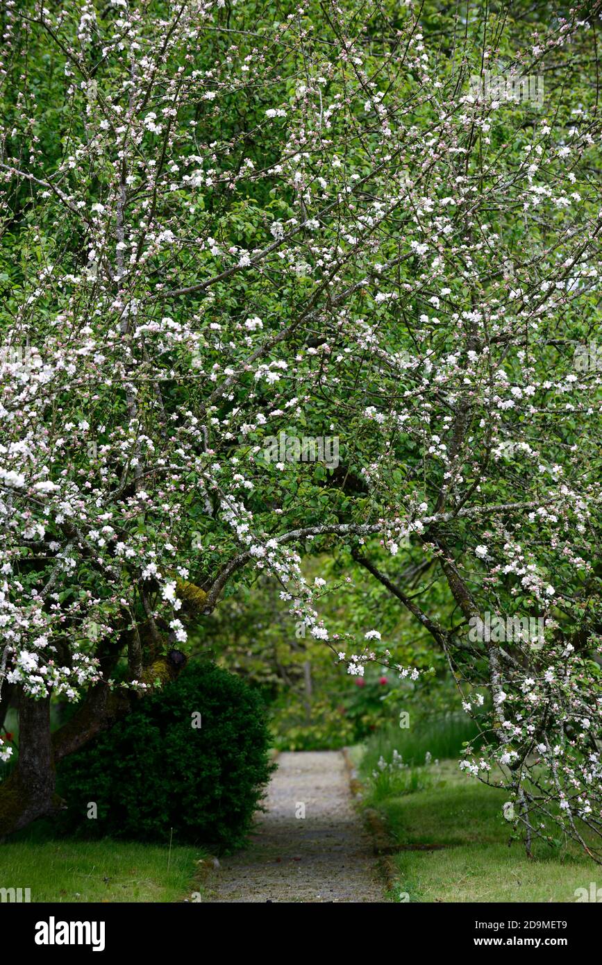 White pathway hi-res stock photography and images - Alamy