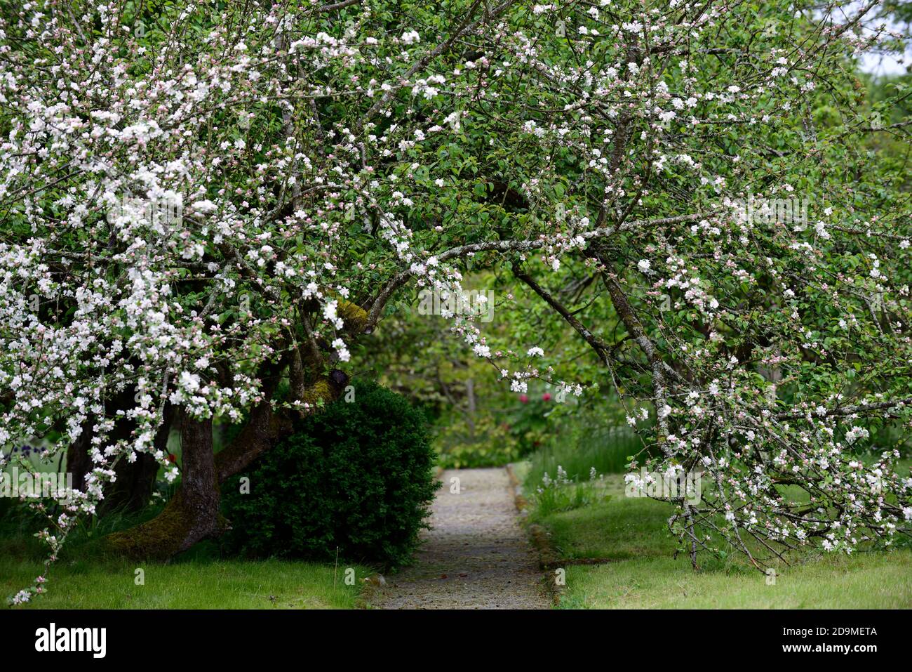 White pathway hi-res stock photography and images - Alamy