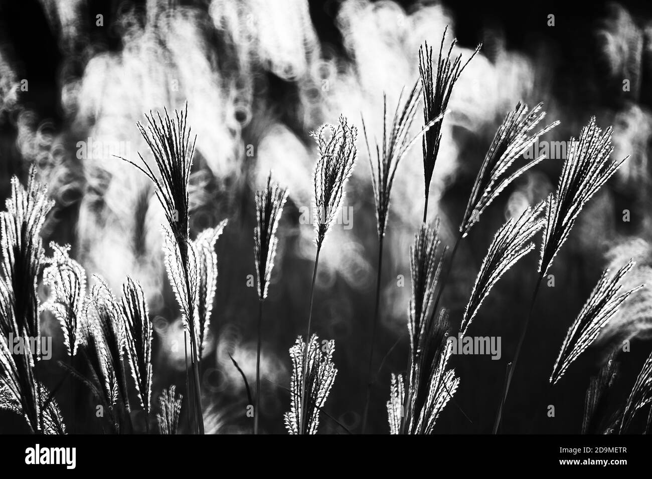 Sea costa brava spain Black and White Stock Photos & Images - Alamy