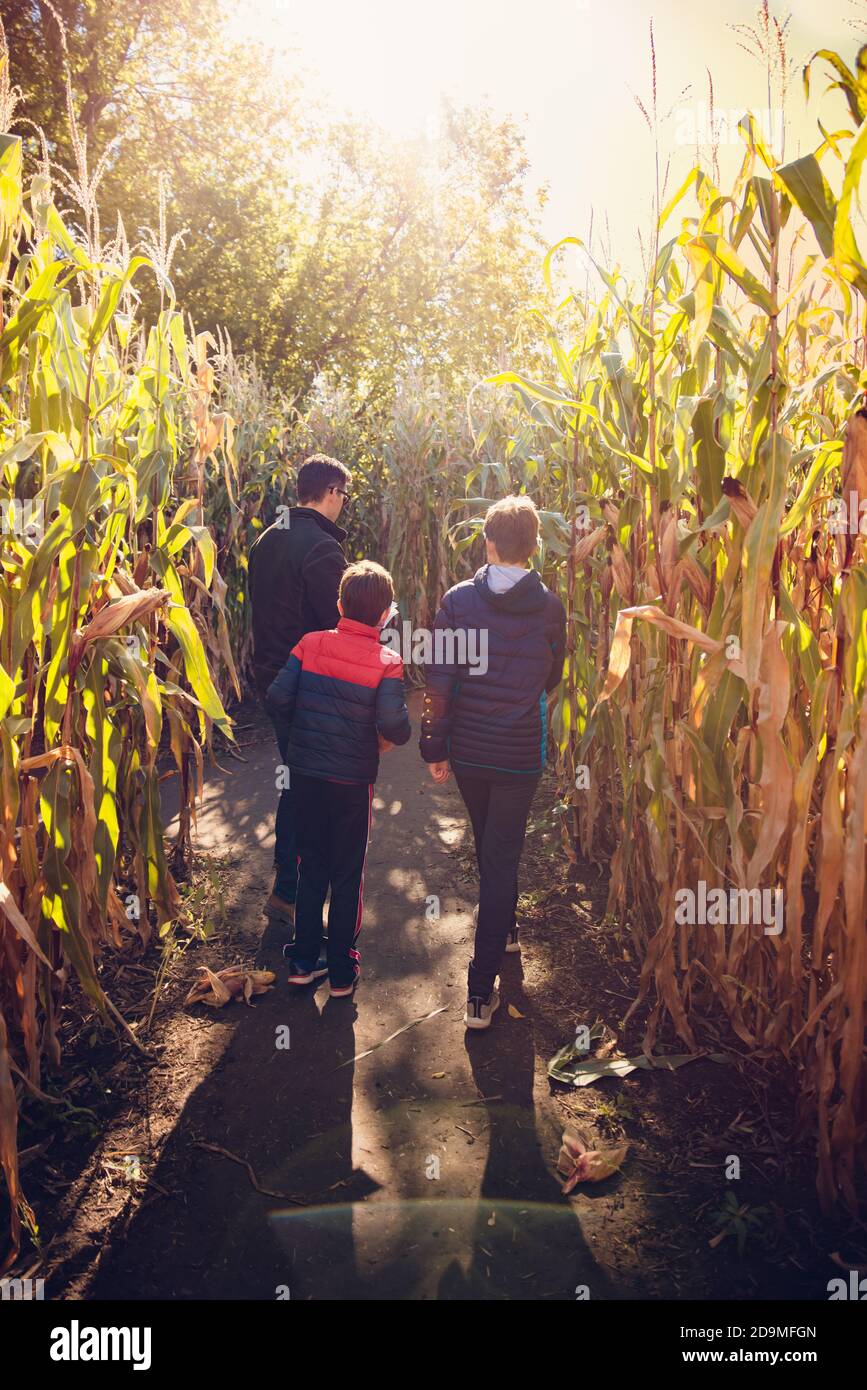 Children corn maze hi-res stock photography and images - Alamy