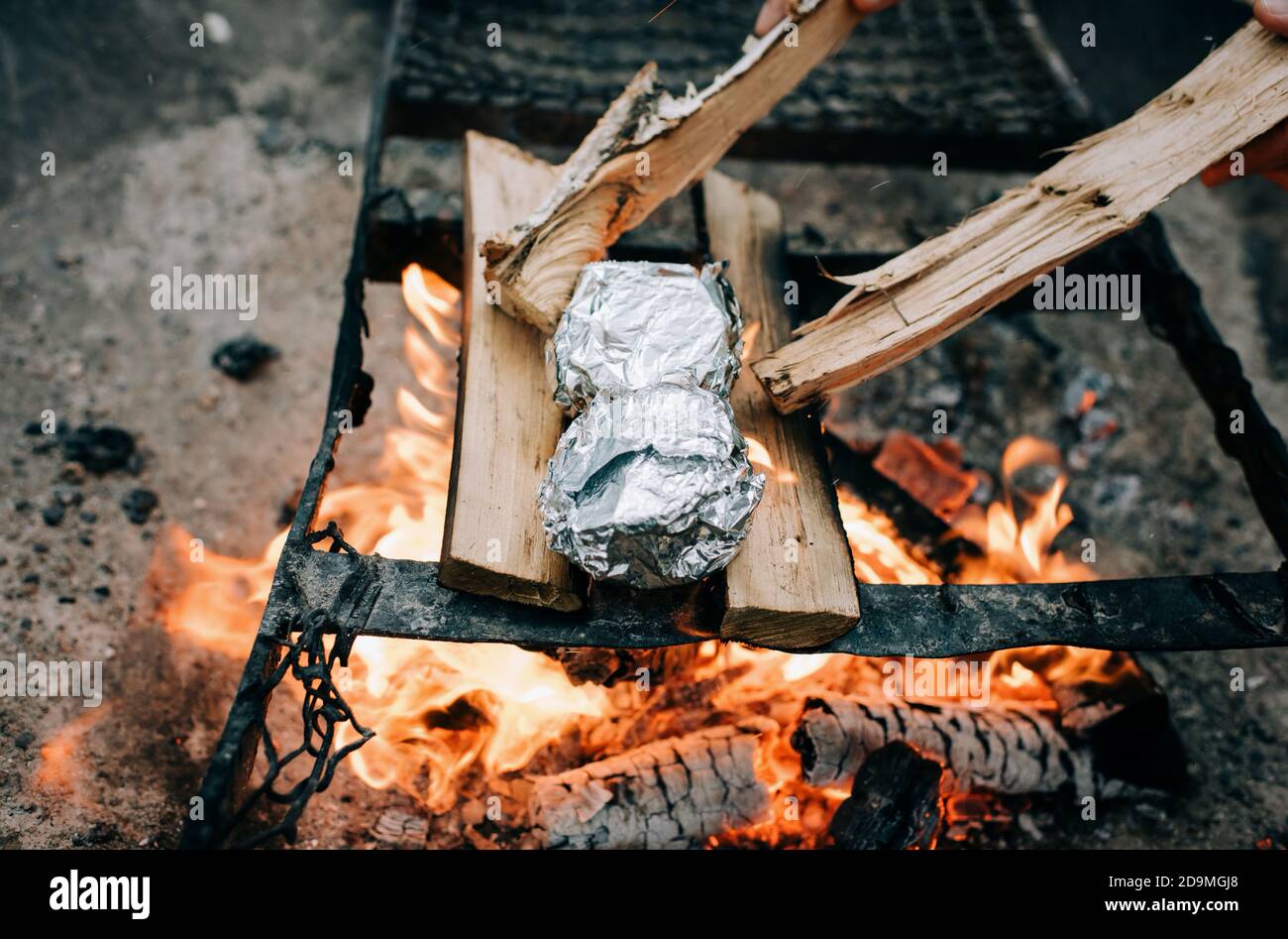 smore's cooking on a fire pit in the woods in Sweden Stock Photo - Alamy