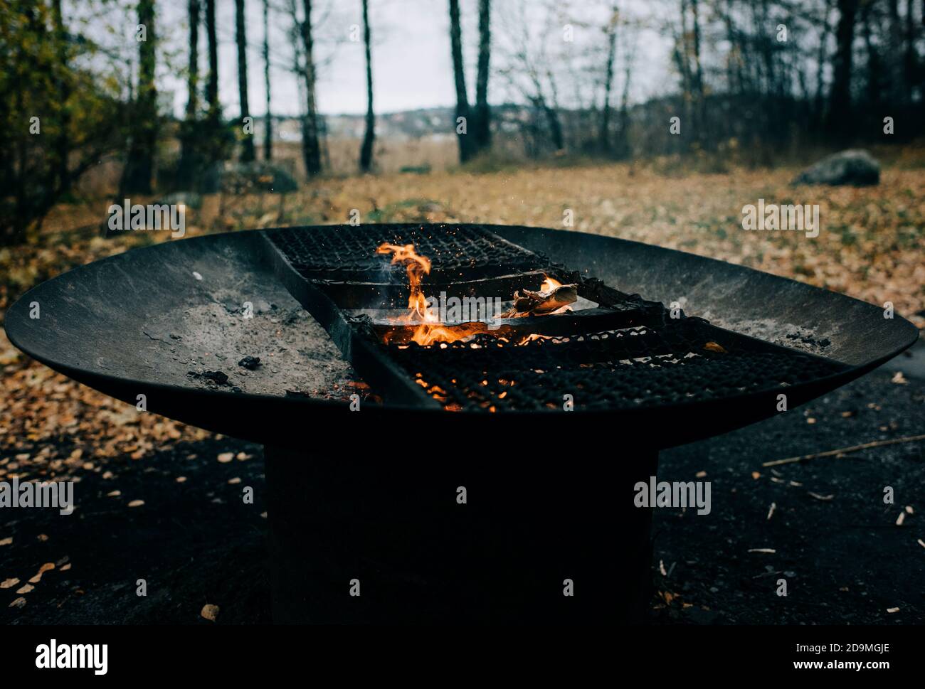 flames coming out of a fire pit in the woods in Sweden Stock Photo - Alamy