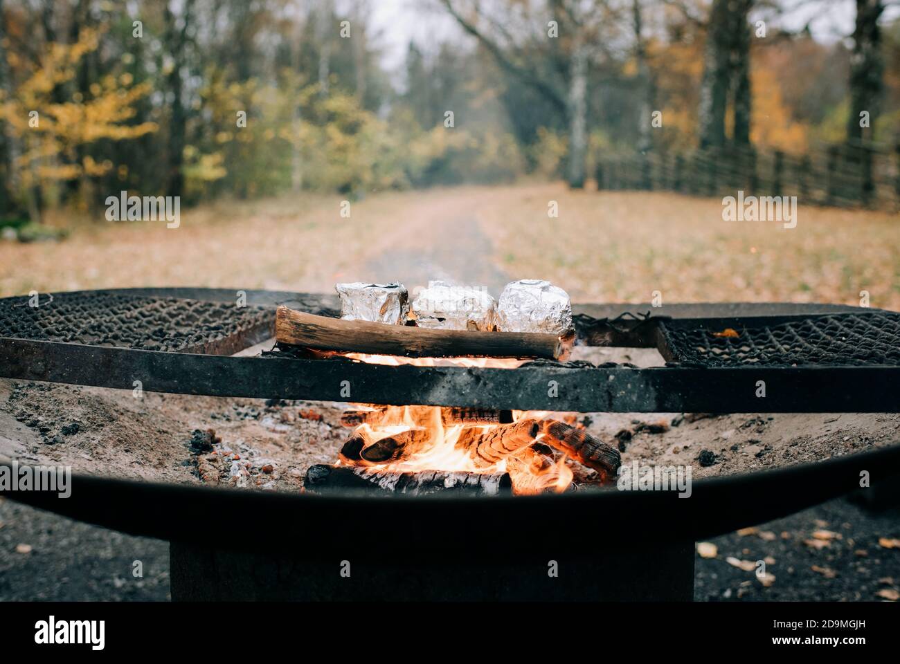smore's cooking on an outdoor grill in the forest in Sweden Stock Photo ...