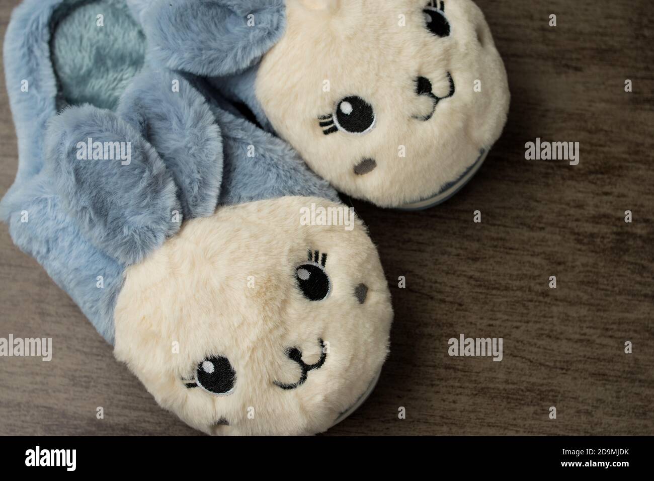 Bunny slippers hi-res stock photography and images - Alamy