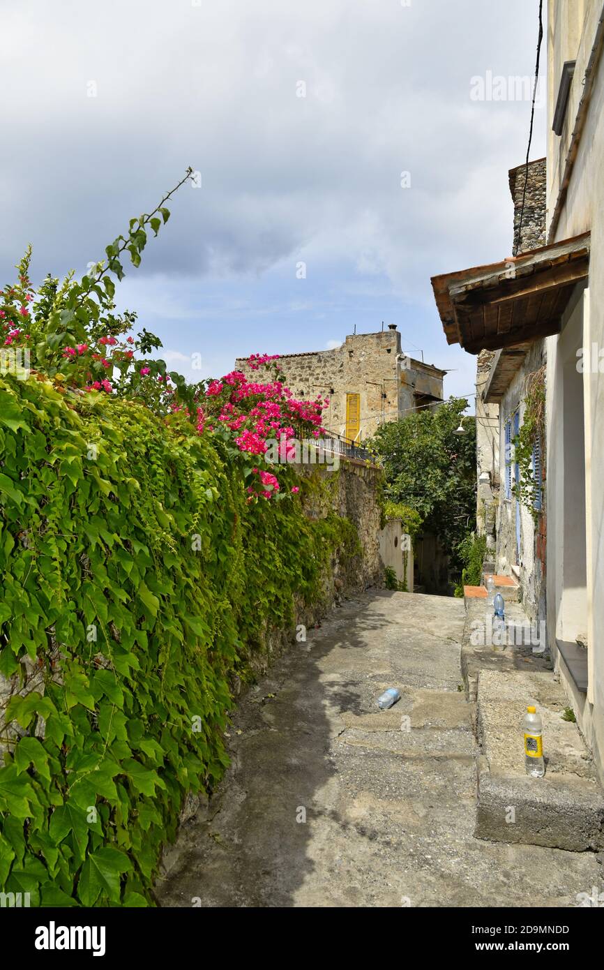 A narrow street among the old houses of Scalea, a rural village in the ...