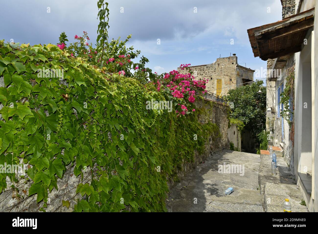 A narrow street among the old houses of Scalea, a rural village in the ...