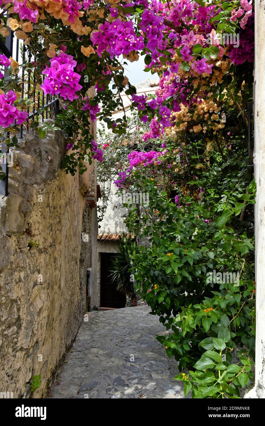 A narrow street among the old houses of Scalea, a rural village in the ...