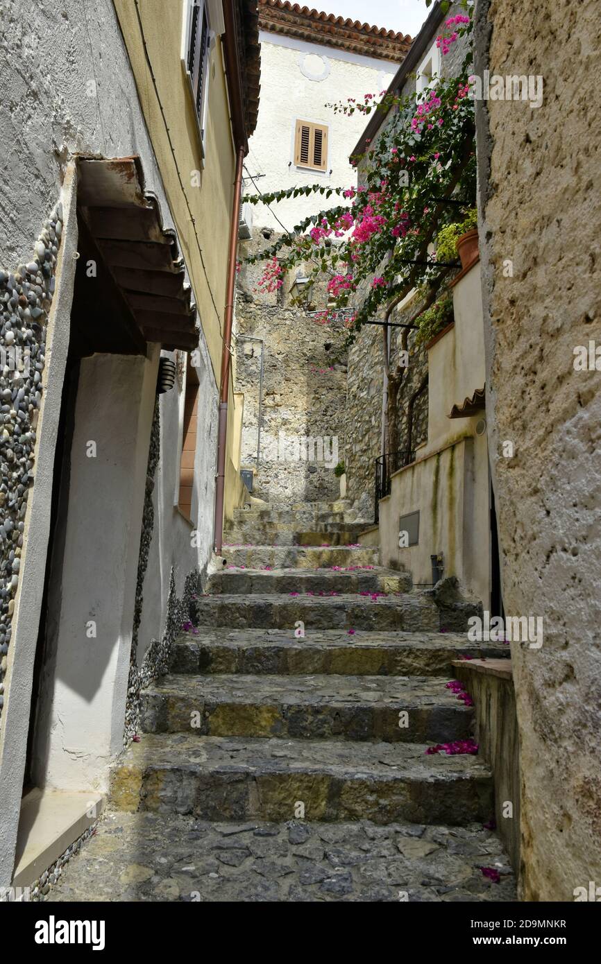 A narrow street among the old houses of Scalea, a rural village in the ...
