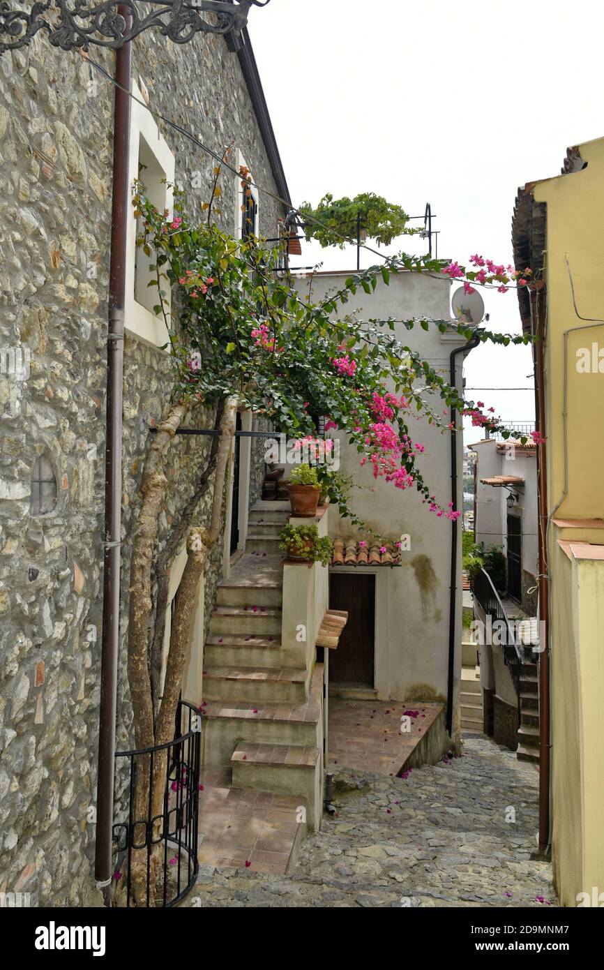 Old town scalea calabria italy hi-res stock photography and images - Alamy