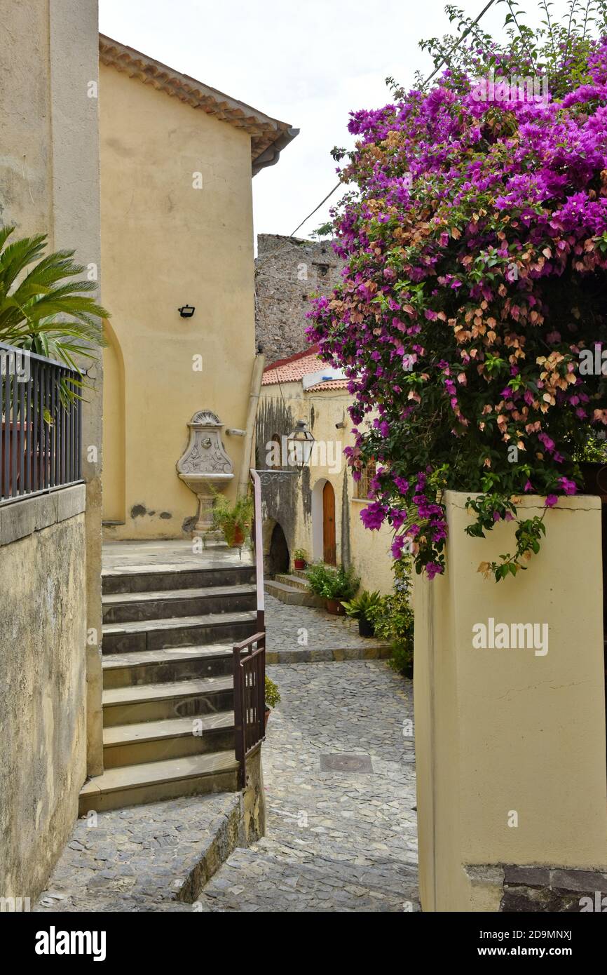 A narrow street among the old houses of Scalea, a rural village in the ...