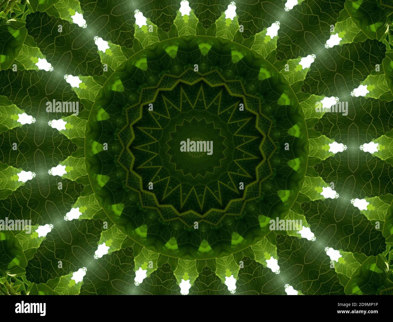 In circular form hi-res stock photography and images - Alamy