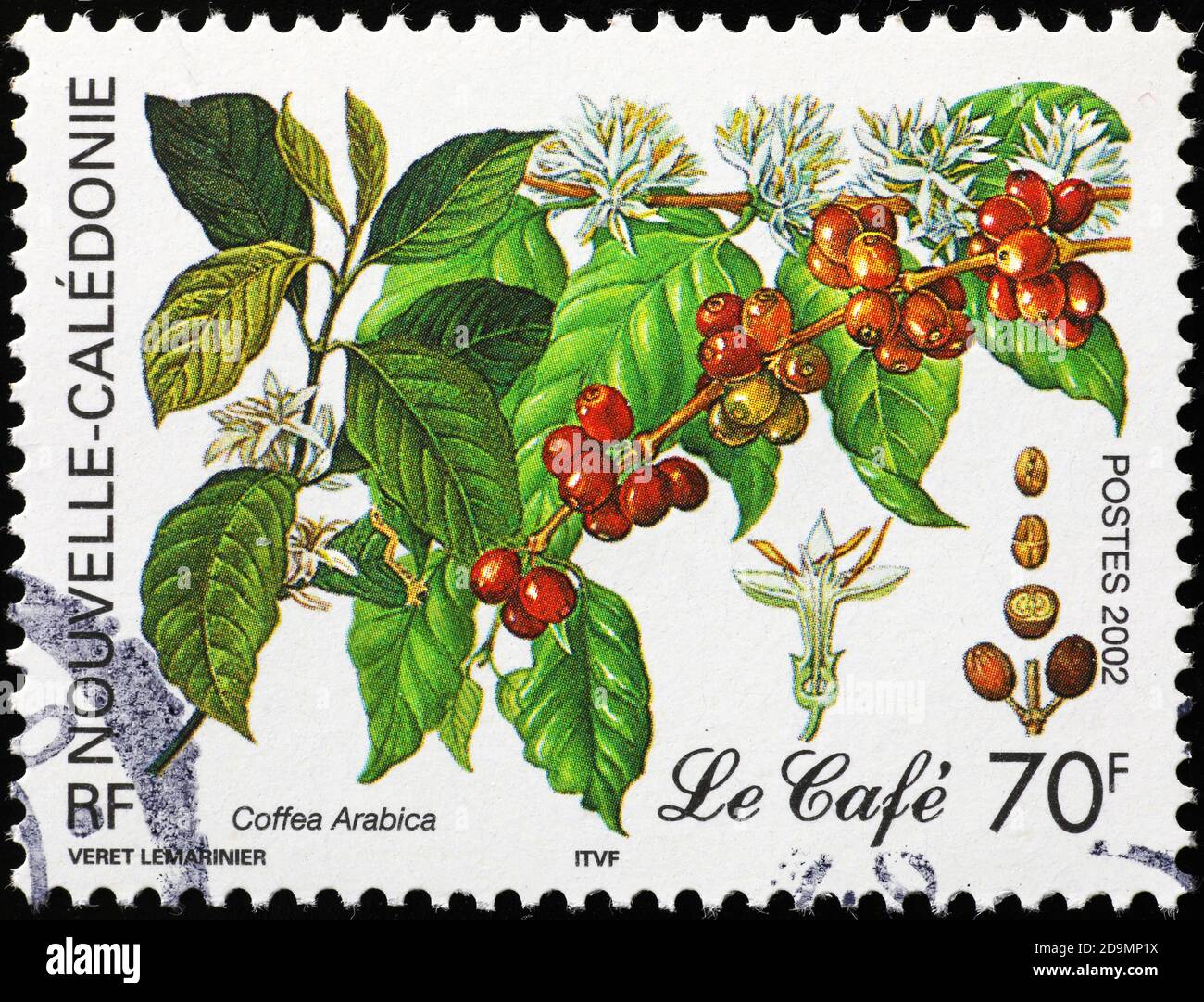 Arabian coffee plant on postage stamp Stock Photo - Alamy