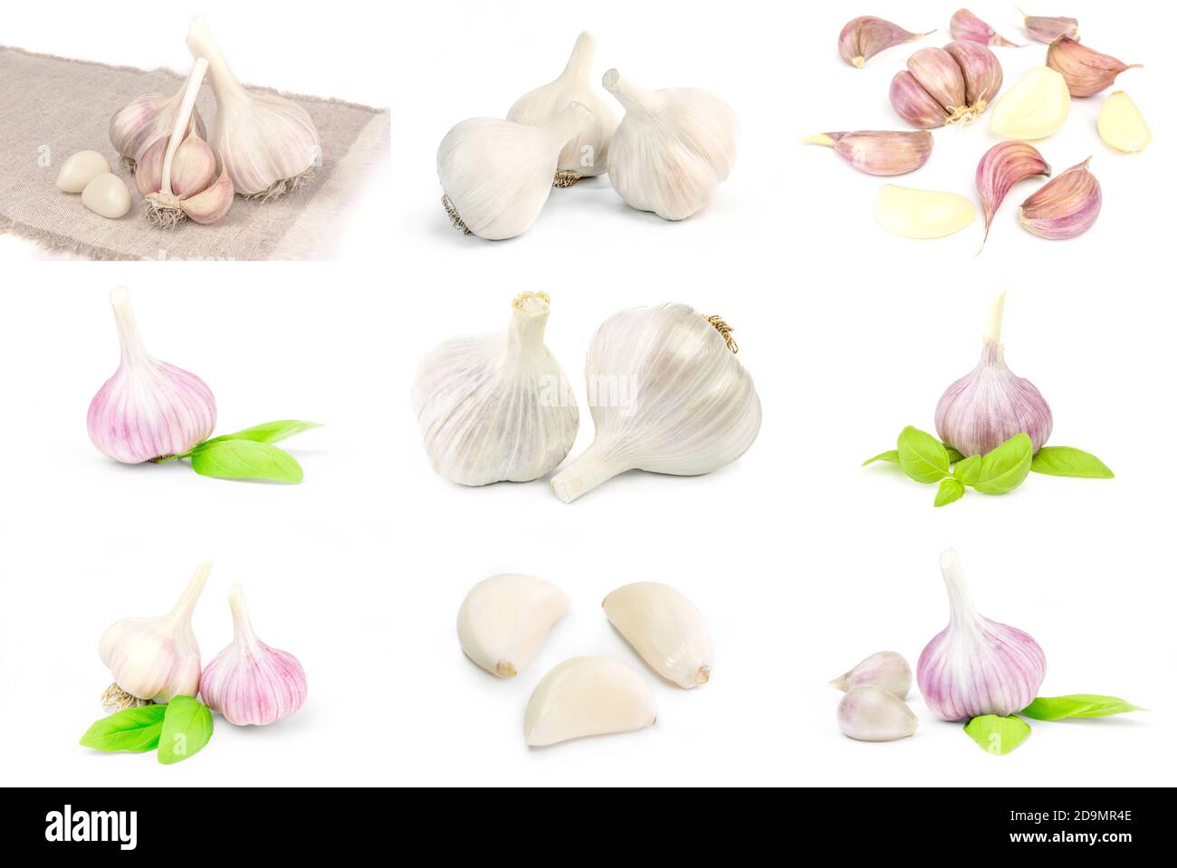 Group of Garlic isolated on a white background Stock Photo - Alamy