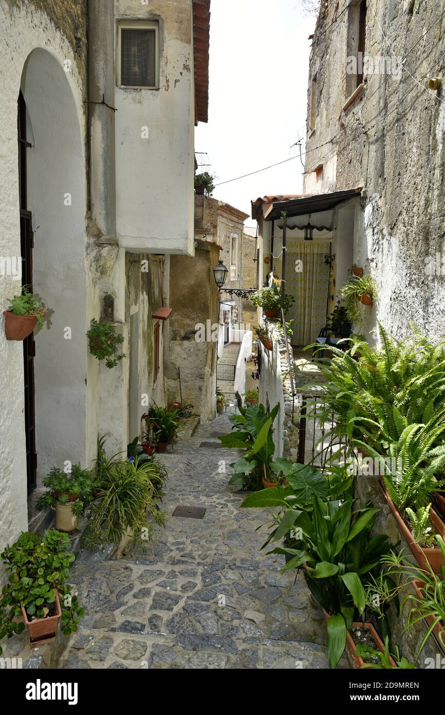 Old town scalea calabria italy hi-res stock photography and images - Alamy