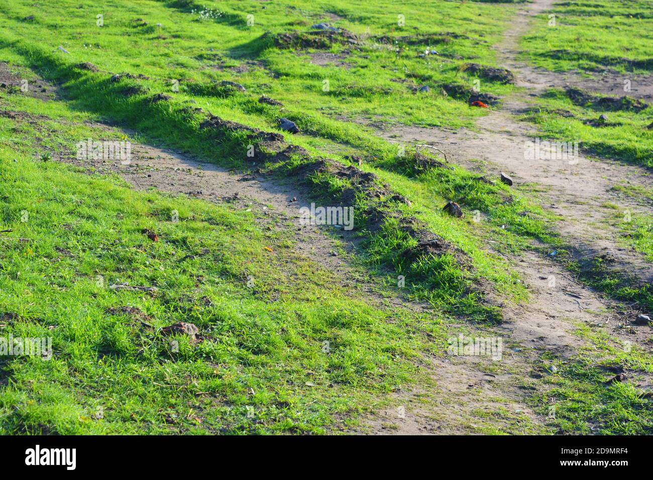 Lit paths hi-res stock photography and images - Alamy
