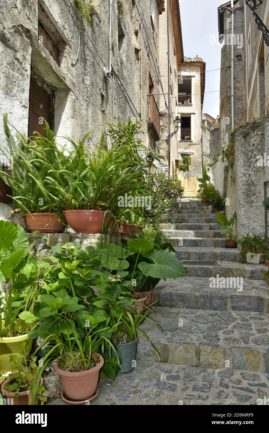 Old town scalea calabria italy hi-res stock photography and images - Alamy