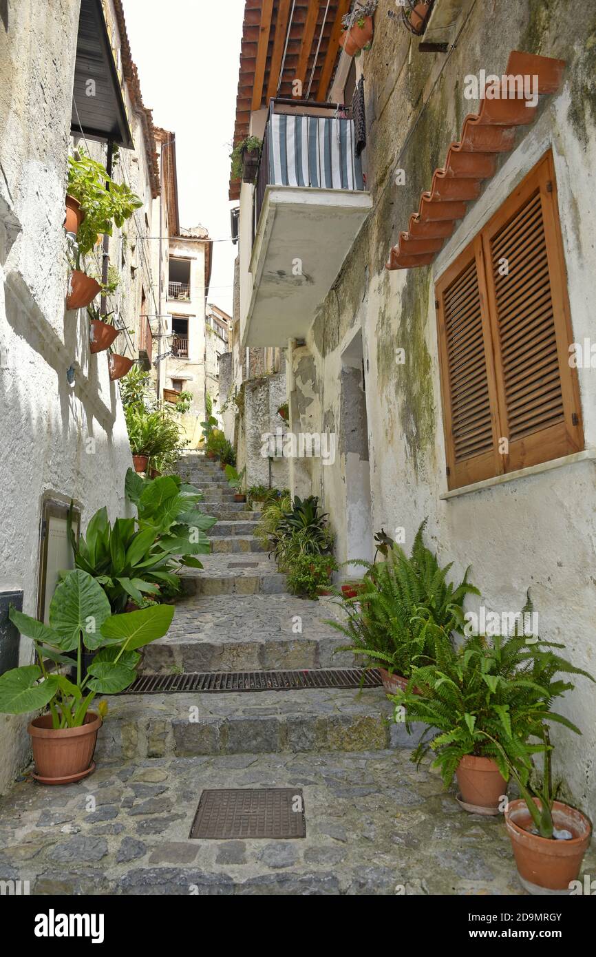 A narrow street among the old houses of Scalea, a rural village in the ...