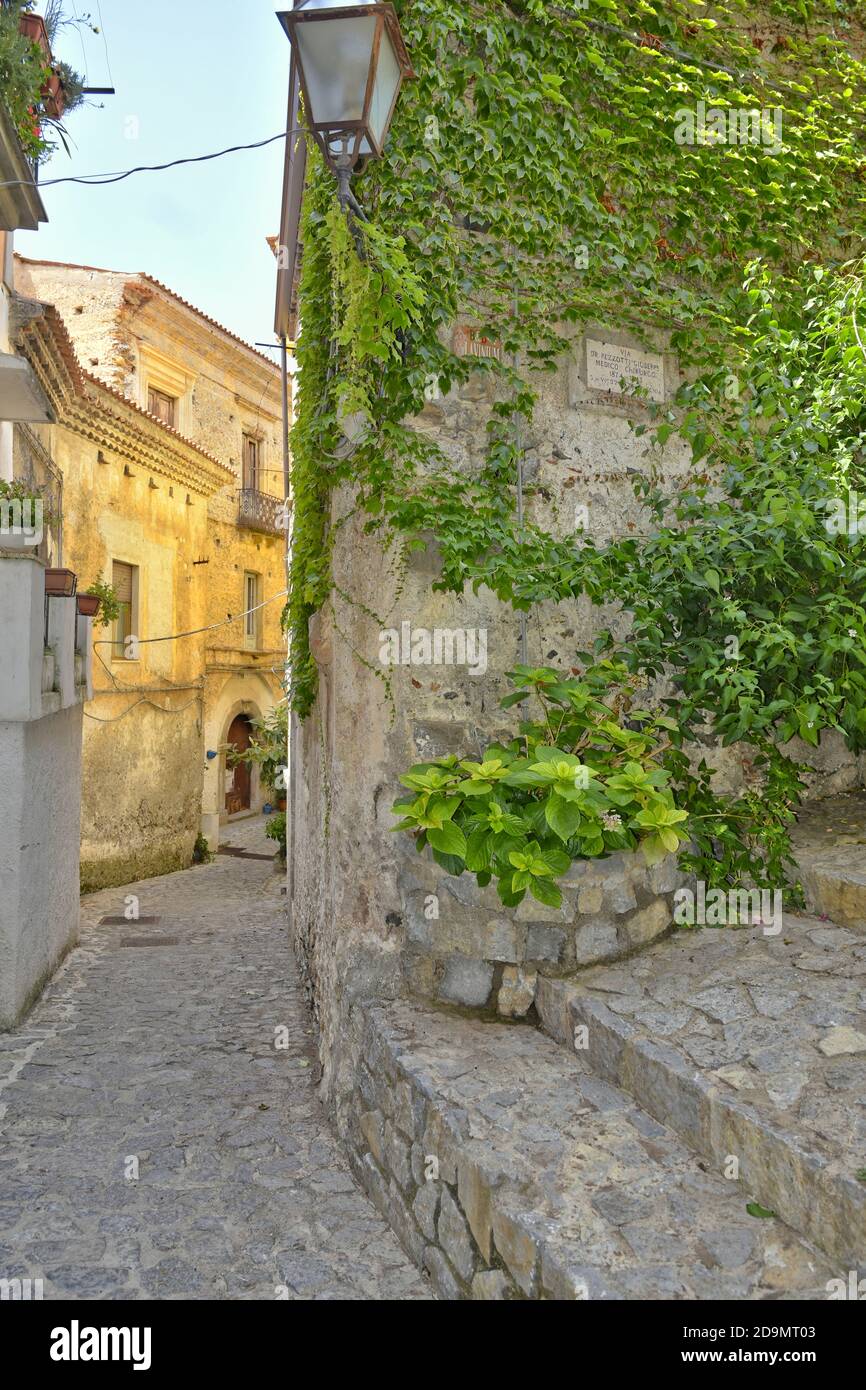 A narrow street among the old houses of Scalea, a rural village in the ...