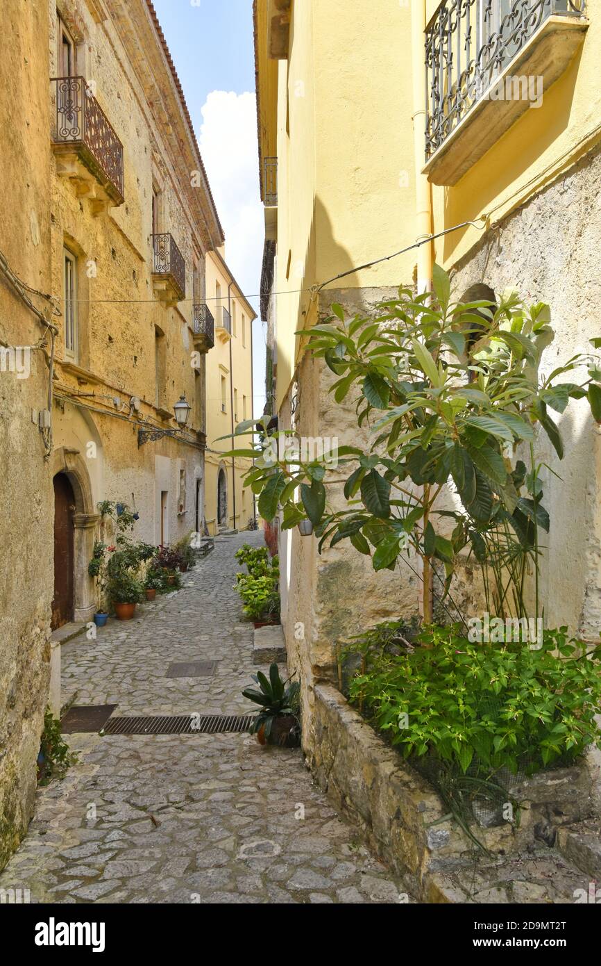 A narrow street among the old houses of Scalea, a rural village in the ...