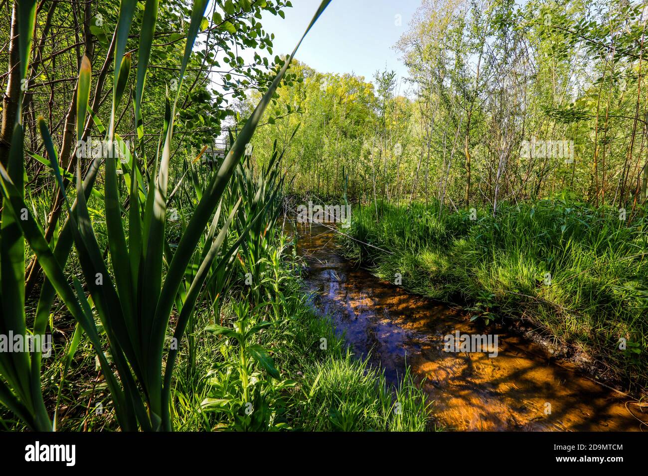 Renatured flowing water, the Hellbach belongs to the Emscher river system, was previously an ...
