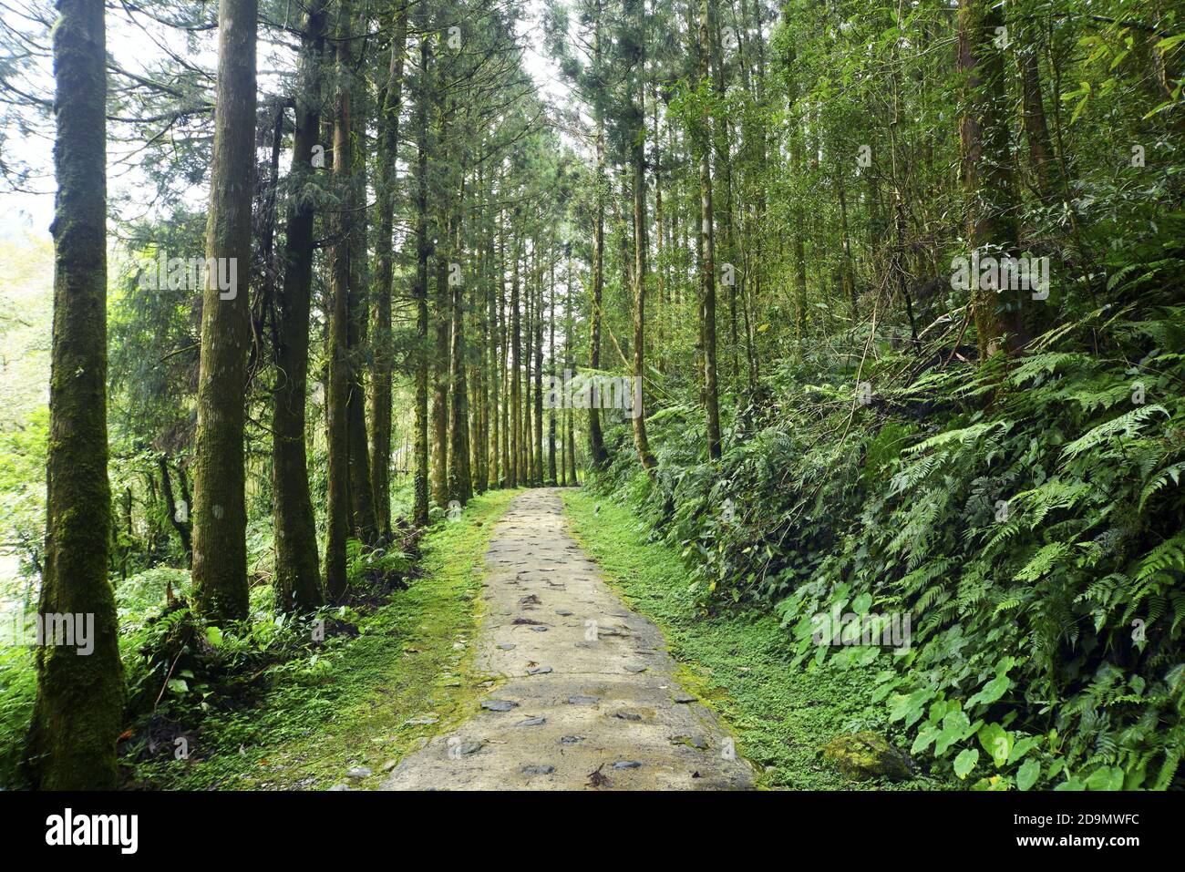 beauty of Yilan Taiwan Stock Photo - Alamy