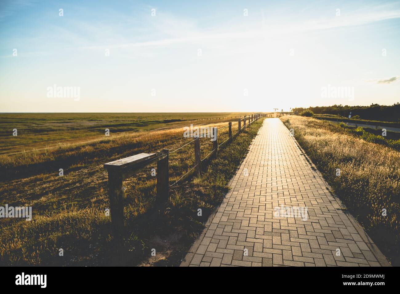 Grasses meadows path on the dike in sunset hi-res stock photography and ...