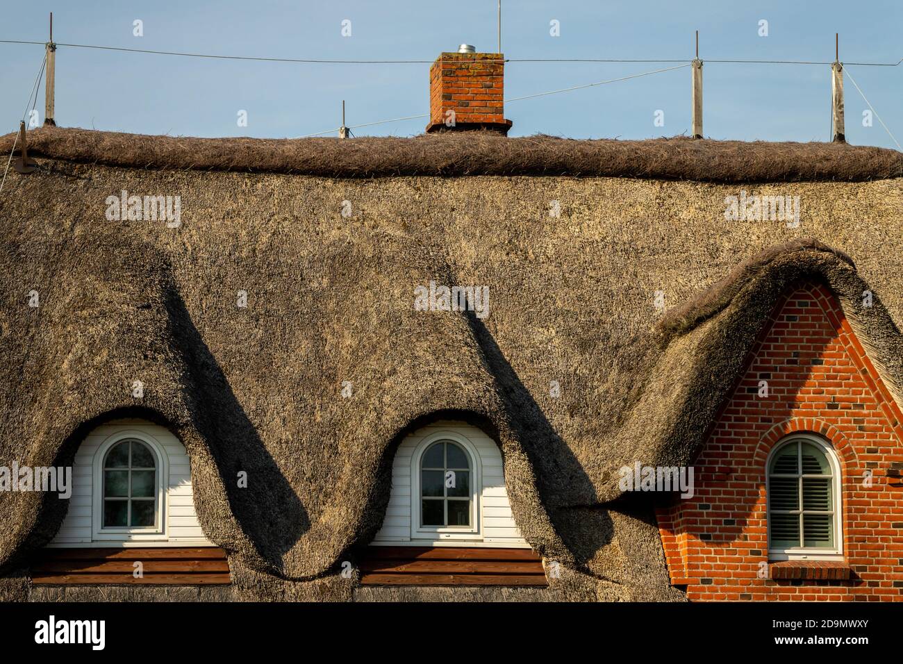 Thatched roof, thatched roof, with thatched roof in Northern Germany ...