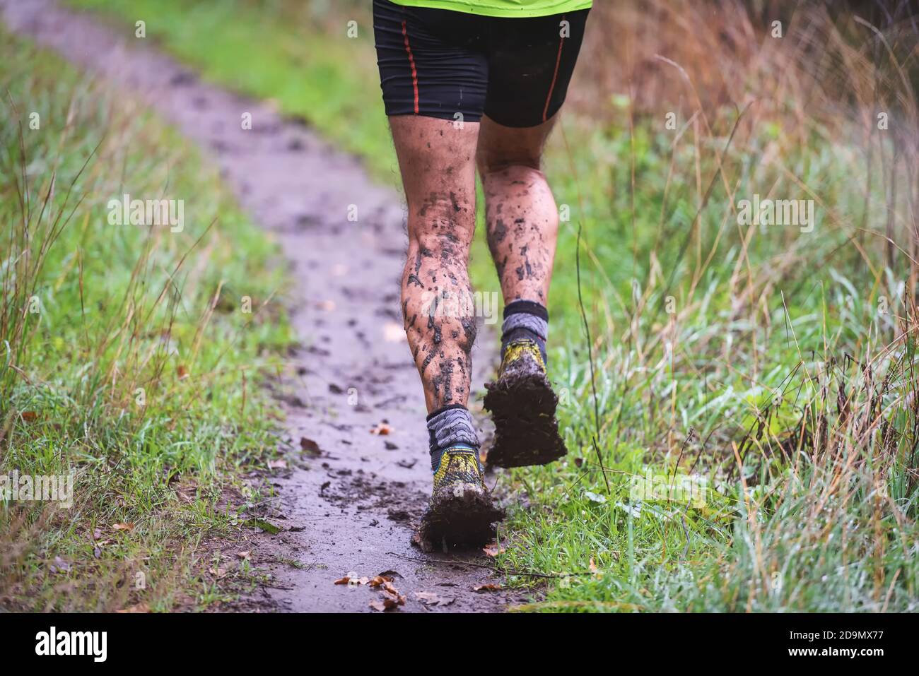 Athlete runner in forest trail in rain, with muddy legs Stock Photo - Alamy