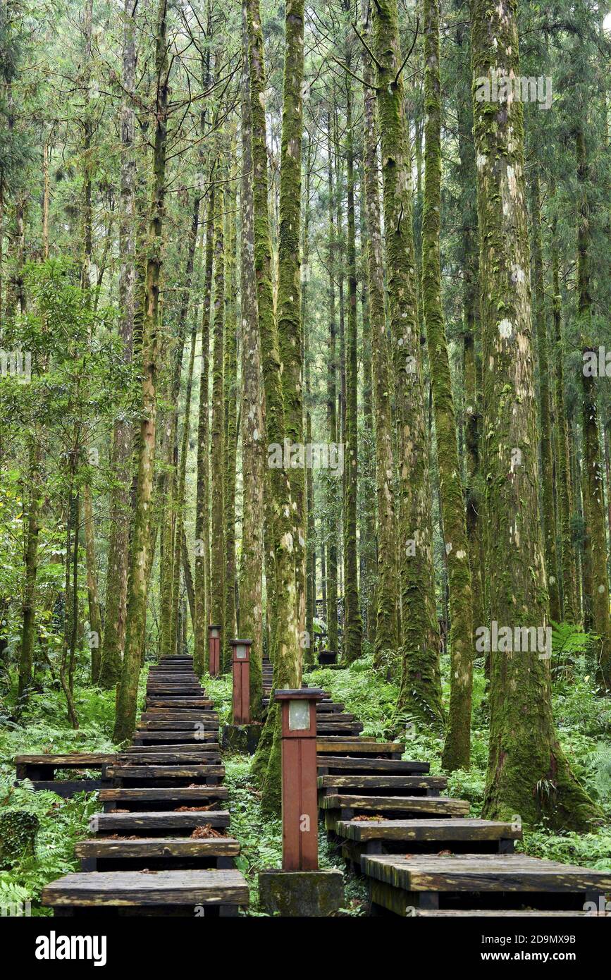 beauty of Yilan Taiwan Stock Photo - Alamy