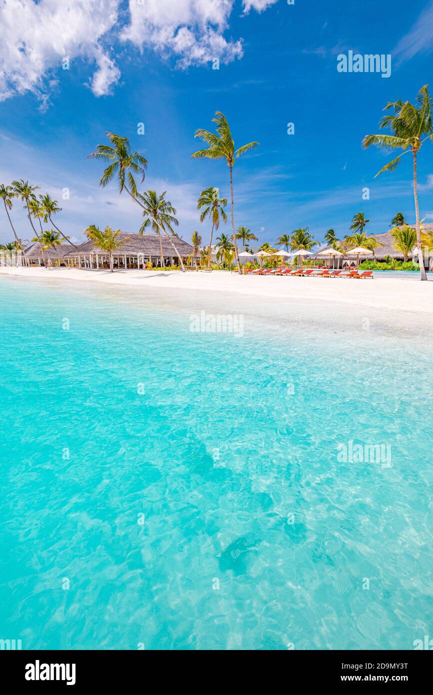 Tropical beach background as summer landscape with beach swing or ...