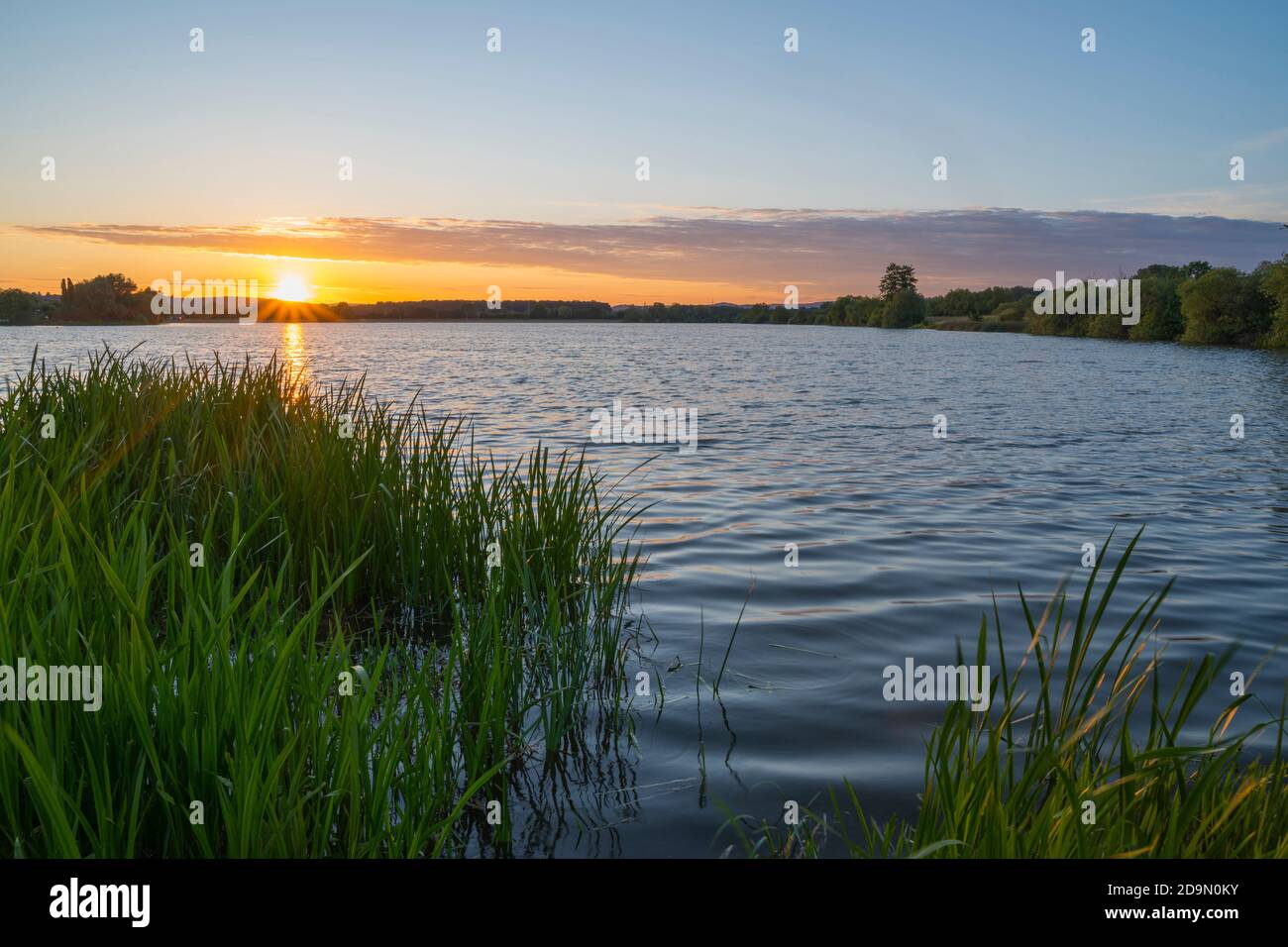 Lake, sunrise, spring, Langenselbold, Kinzigsee, Hesse, Germany Stock ...