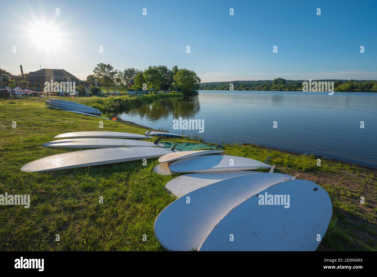 Lake, surfboard, morning, spring, Langenselbold, Kinzigsee, Hesse ...