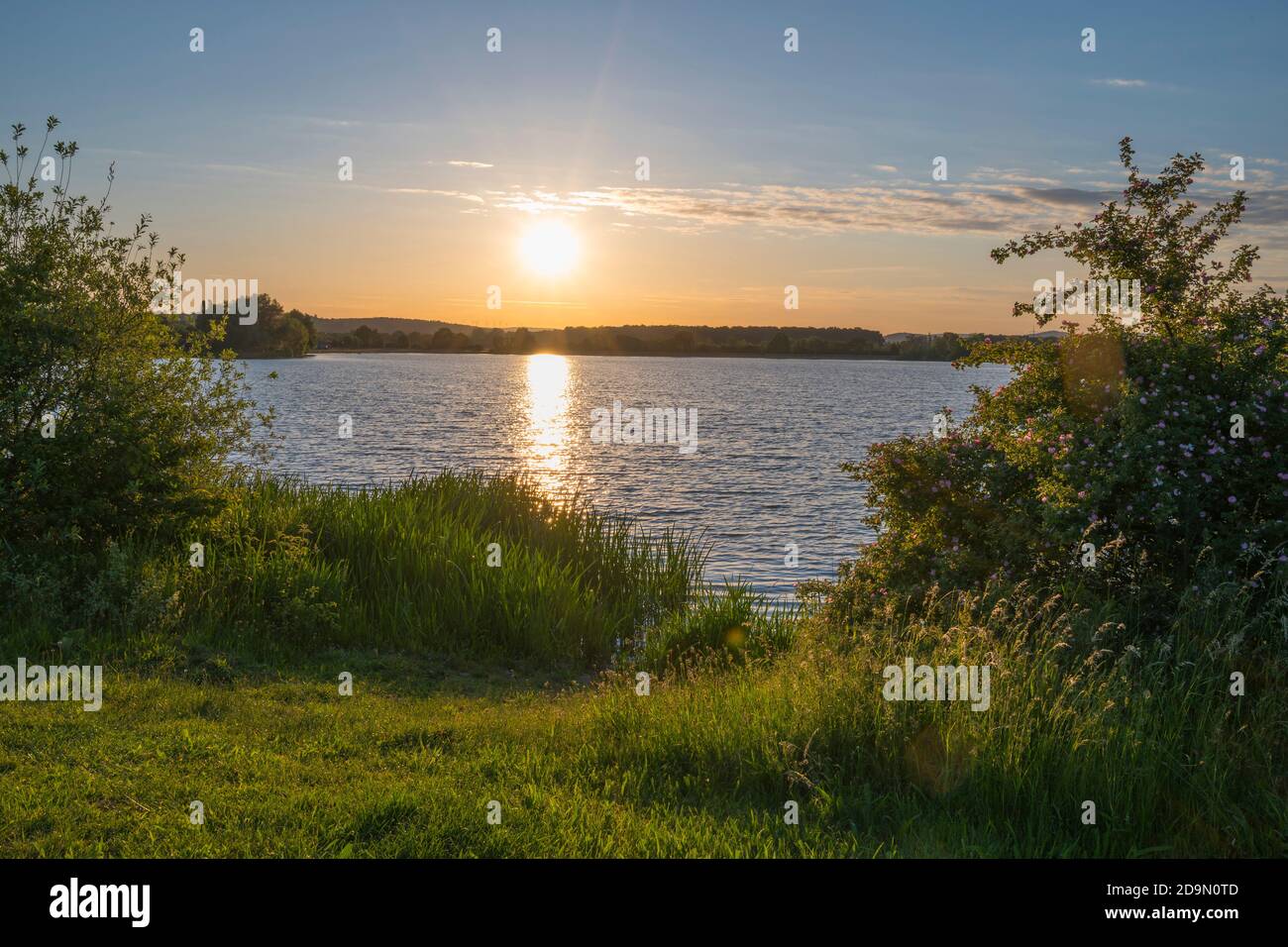 Lake, sunrise, spring, Langenselbold, Kinzigsee, Hesse, Germany Stock ...