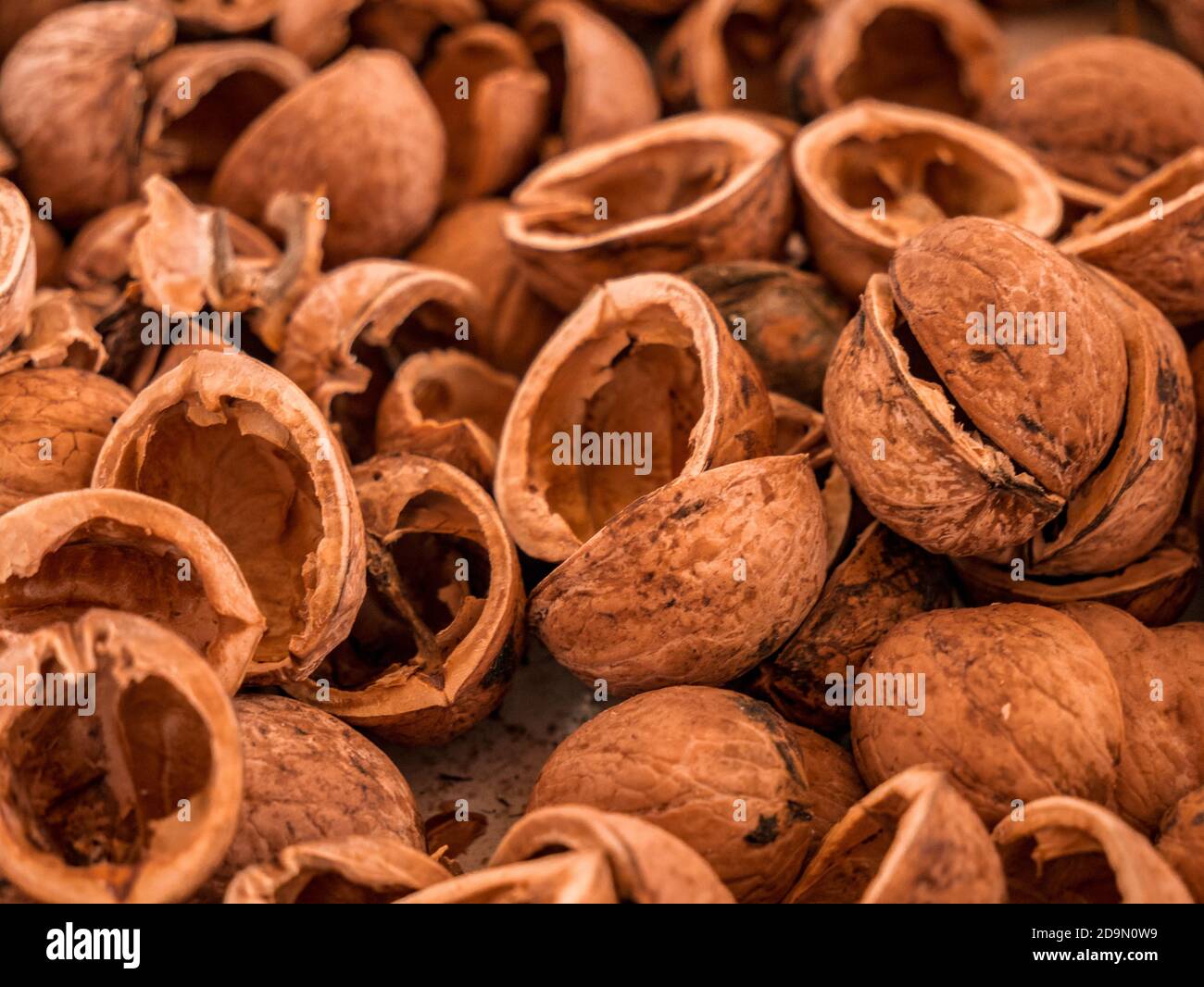 Walnut shells hi-res stock photography and images - Alamy