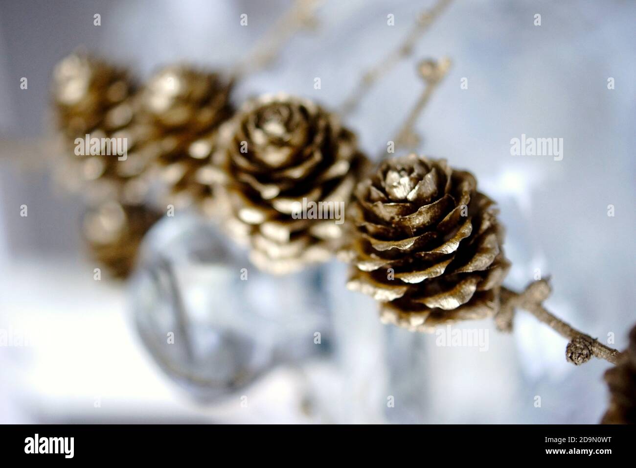 Golden days - gold plated larch cone UK USE ONLY/EMAIL TO CLEAR OTHER ...