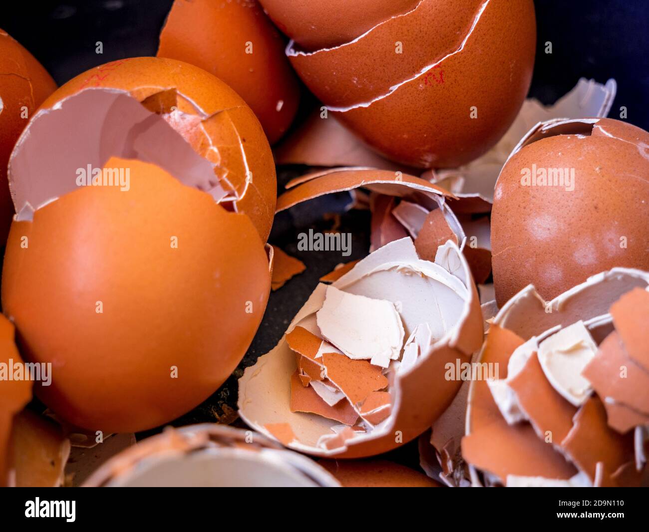 Eggshell crushed garden hi-res stock photography and images - Alamy