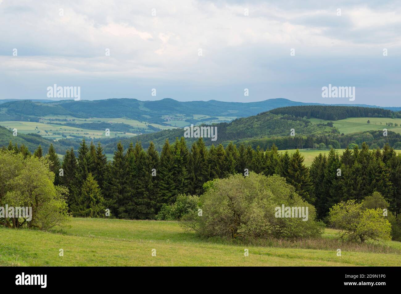 Landscape, forest, meadow, evening, spring, Wasserkuppe, Gersfeld, Rhön ...