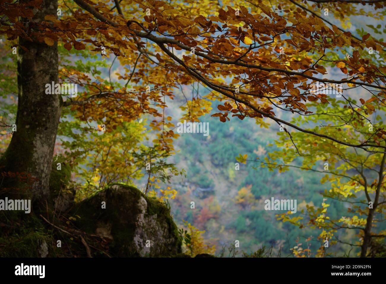 November colors hi-res stock photography and images - Alamy