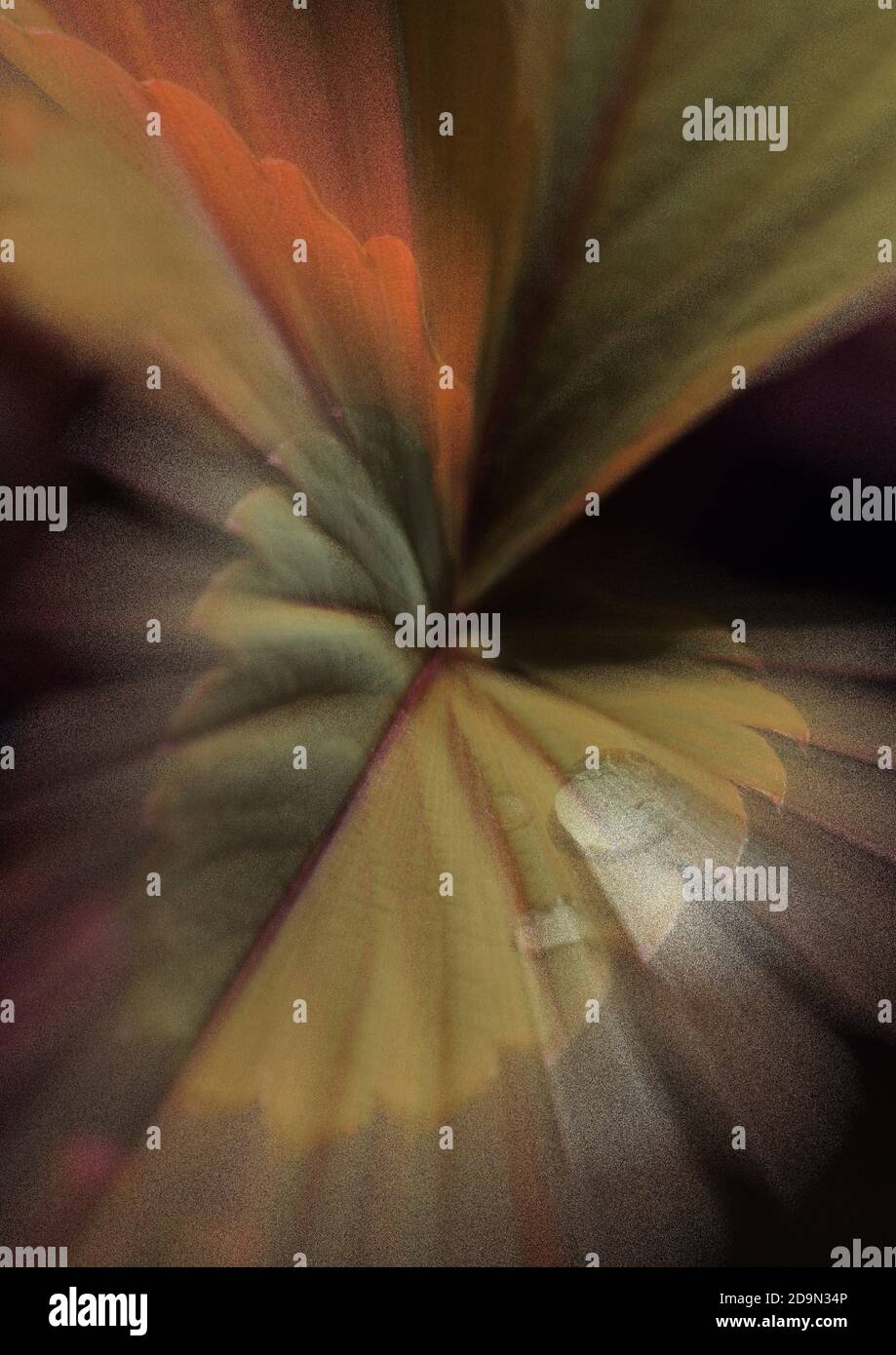 Elegant beautiful colorful effects texture pattern elements backdrop ...