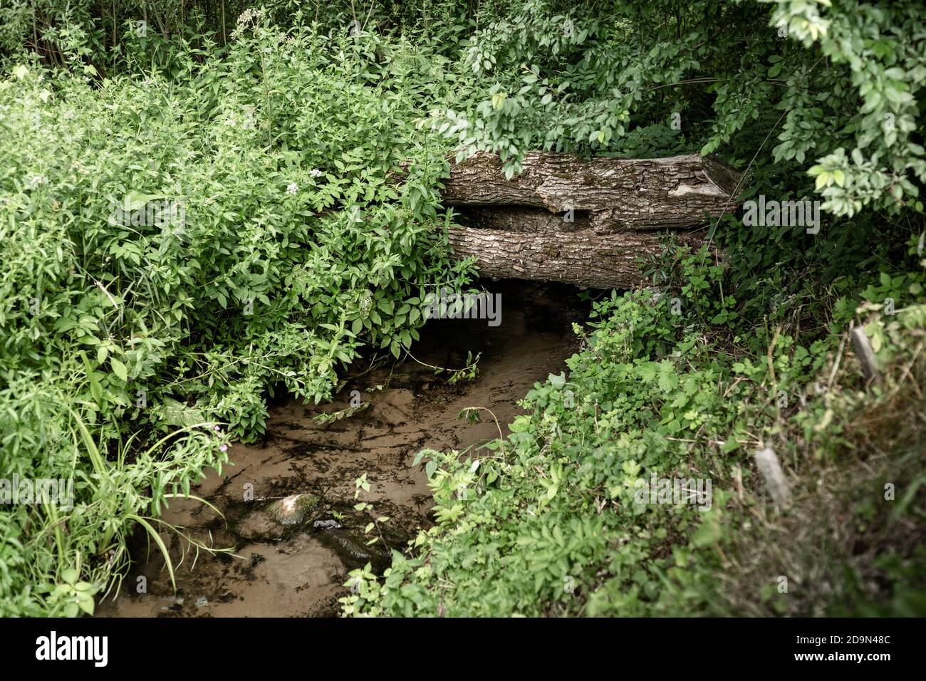 Natural log bridge hi-res stock photography and images - Alamy