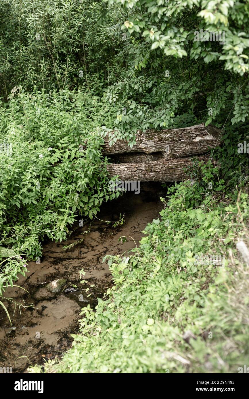 Crossing wooden log bridge hi-res stock photography and images - Alamy