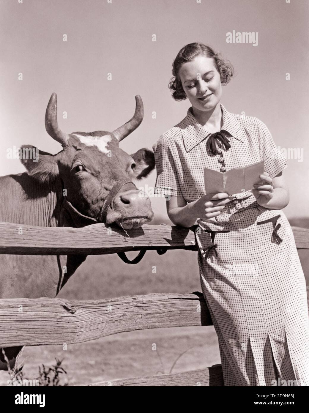 Half woman half cow hi-res stock photography and images - Alamy