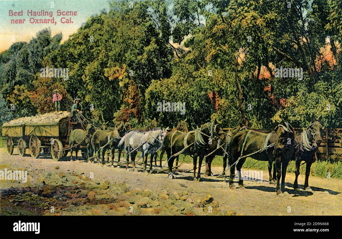 Oxnard, California Historic Post Cards Stock Photo - Alamy