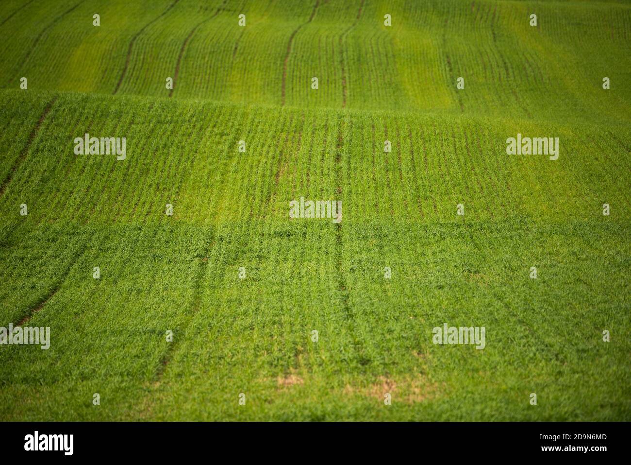 Fast-moving fall clouds and sun dapple a rural farm field in southern ...