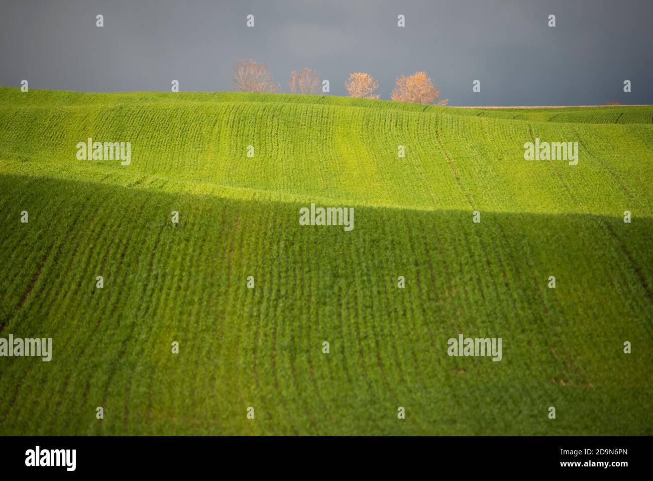 Fast-moving fall clouds and sun dapple a rural farm field in southern ...