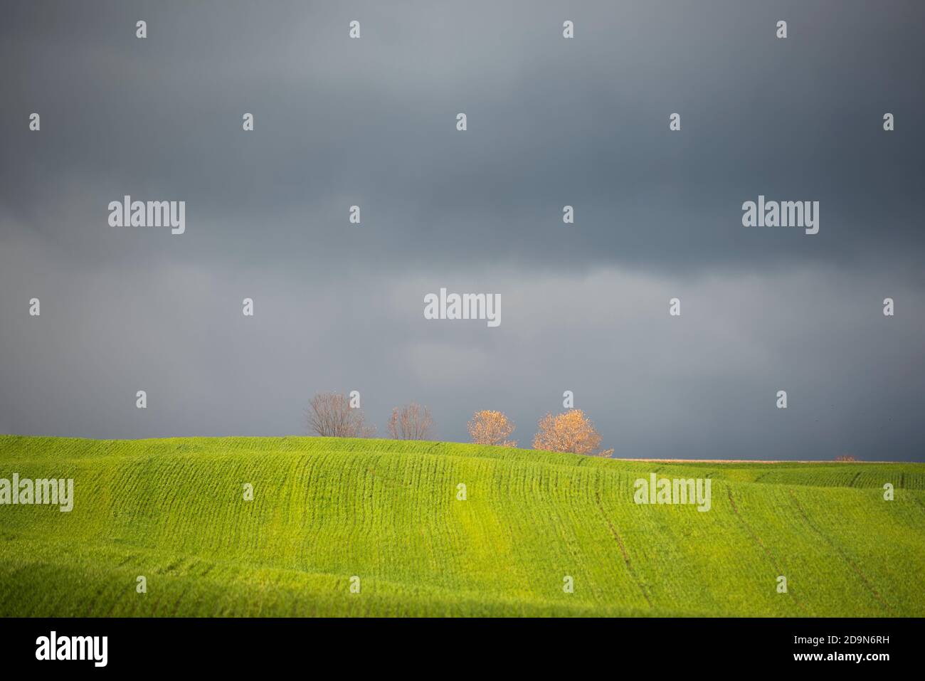 Undulating rolling hi-res stock photography and images - Alamy