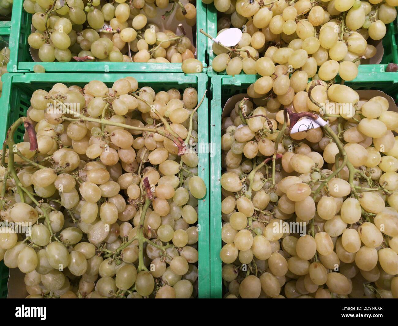 High angle shot of fresh green grapes on a plastic box displayed on the ...