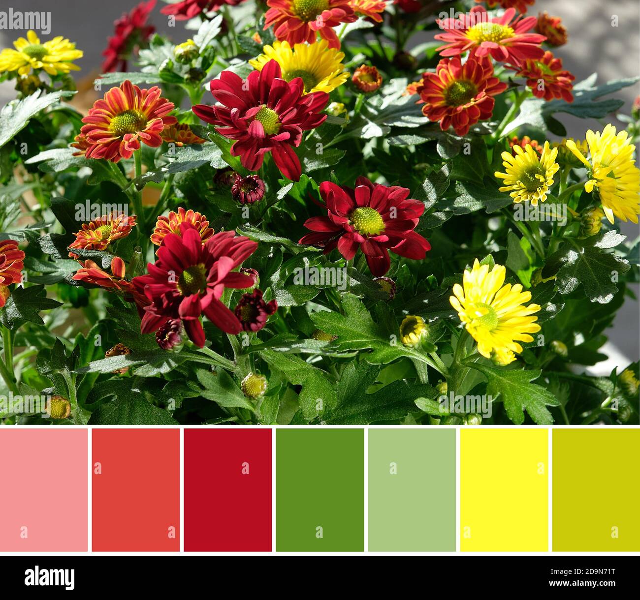 Colour palette chart hi-res stock photography and images - Alamy