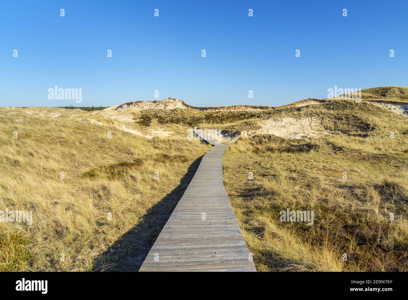 Amrum germany boardwalk amrum hi-res stock photography and images - Alamy